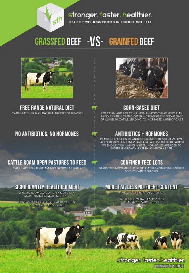 grain fed beef vs. grass fed beef | Seeking the truth about food